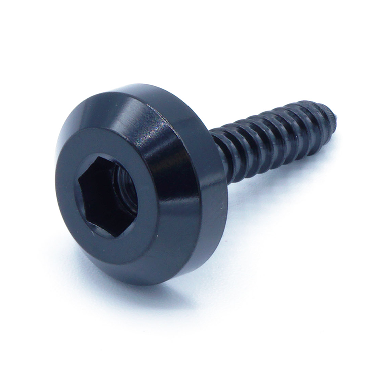titanium_black_machine_head_allen_screw | ColorFittings