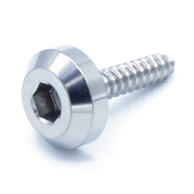 titanium_silver_machine_head_allen_screw | ColorFittings
